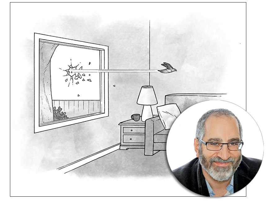 "Angry Bird" Caption Contest Commentary with Lawrence Wood – The ...