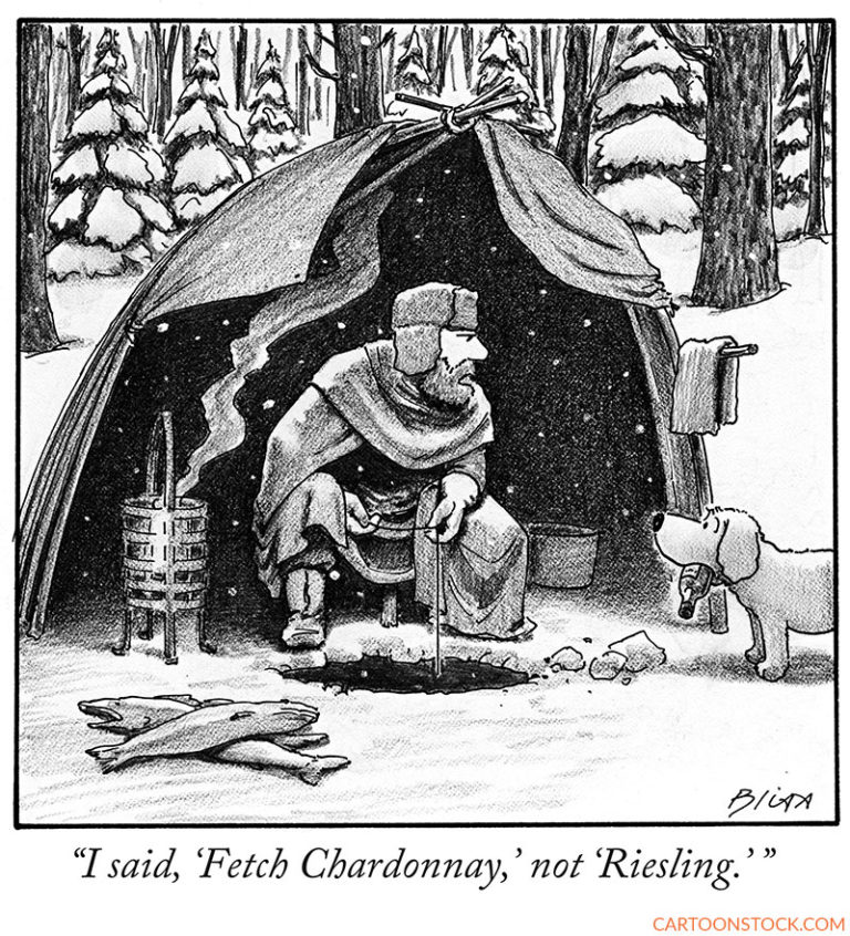 Anatomy of a Cartoon: Camping in the Great and Not So Great Outdoors ...