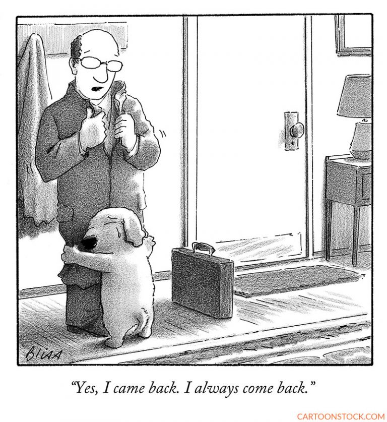 Best Seller Spotlight: Harry Bliss Dog Cartoons – The CartoonStock.com Blog