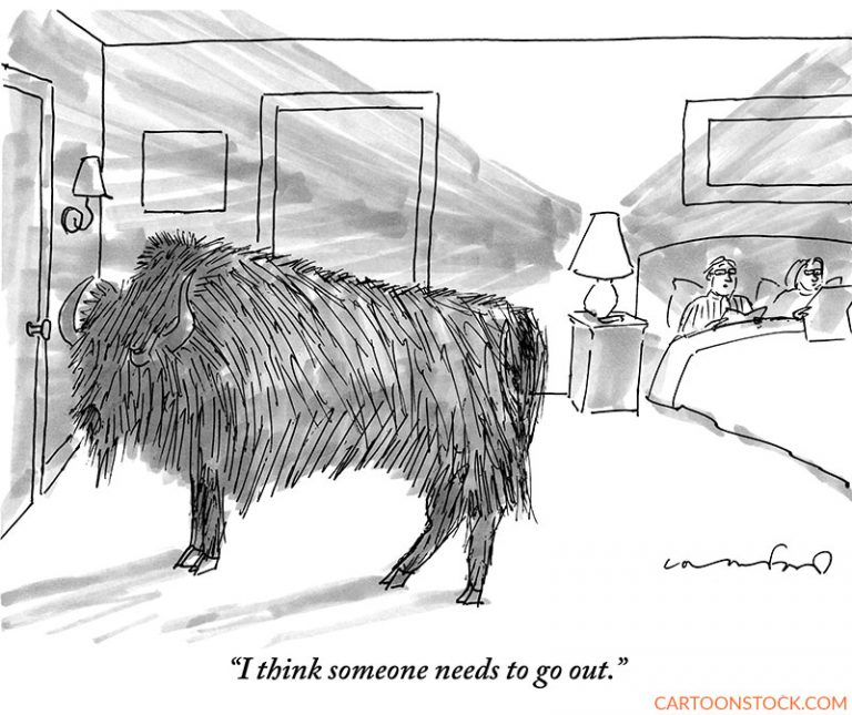 Anatomy of a Cartoon: Unusual Pets – The CartoonStock.com Blog