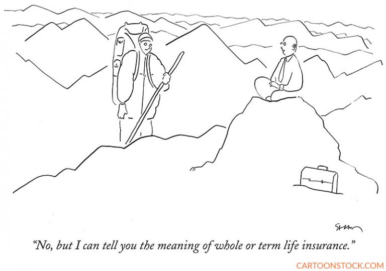 Cartoons for Insurance Agents: Reach New Clients with Humor – The ...
