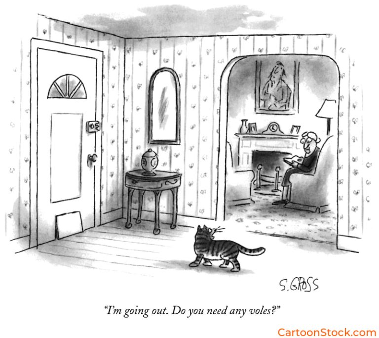 Anatomy of a Cartoon: Gifts – The CartoonStock.com Blog